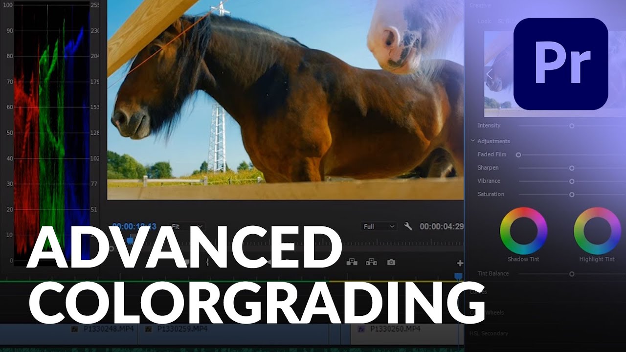 Advanced Color Grading in Premiere Pro – Filmbro